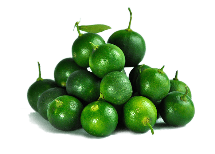 Online Palengke Calamansi Da Red Drop Shop DRDS Online Palengke